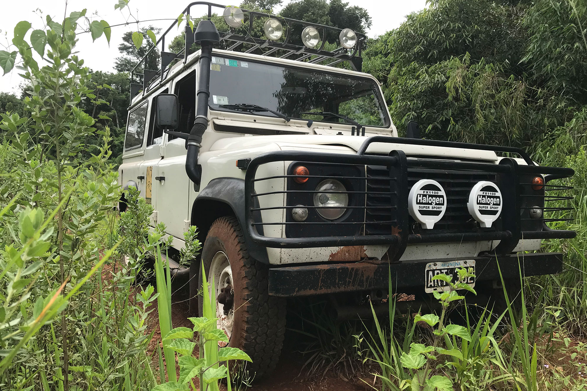 Safari 4x4 - Moconá Jungle